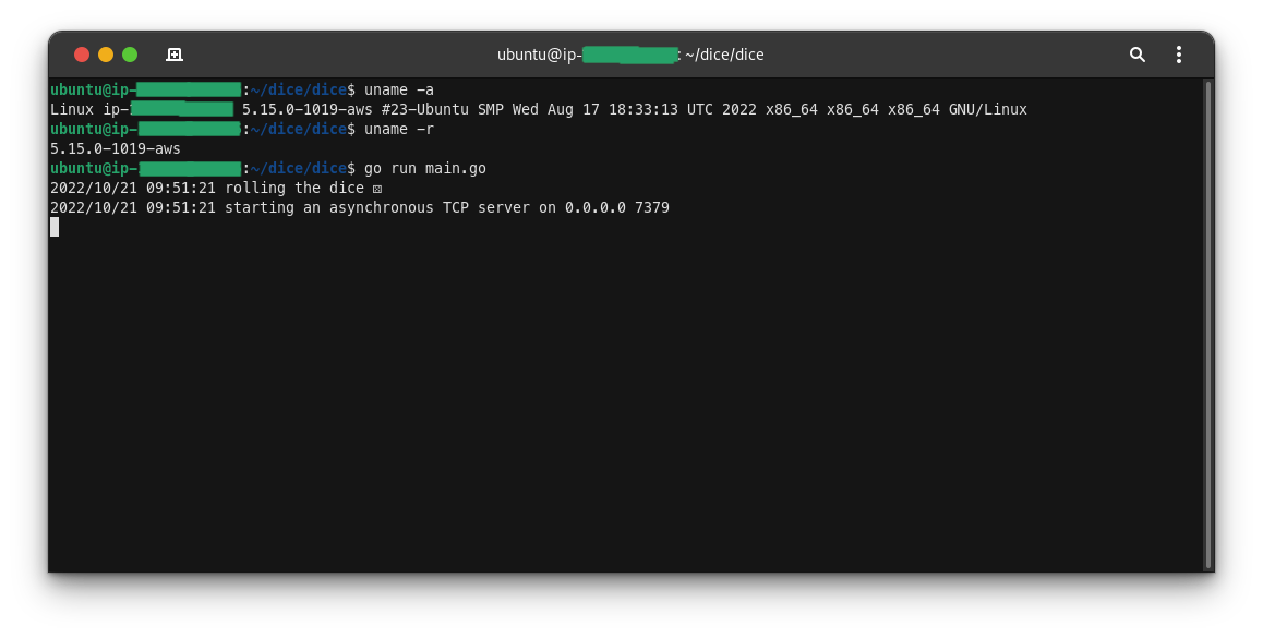 EC2/aws cant run · Issue #40 · DiceDB/dice · GitHub