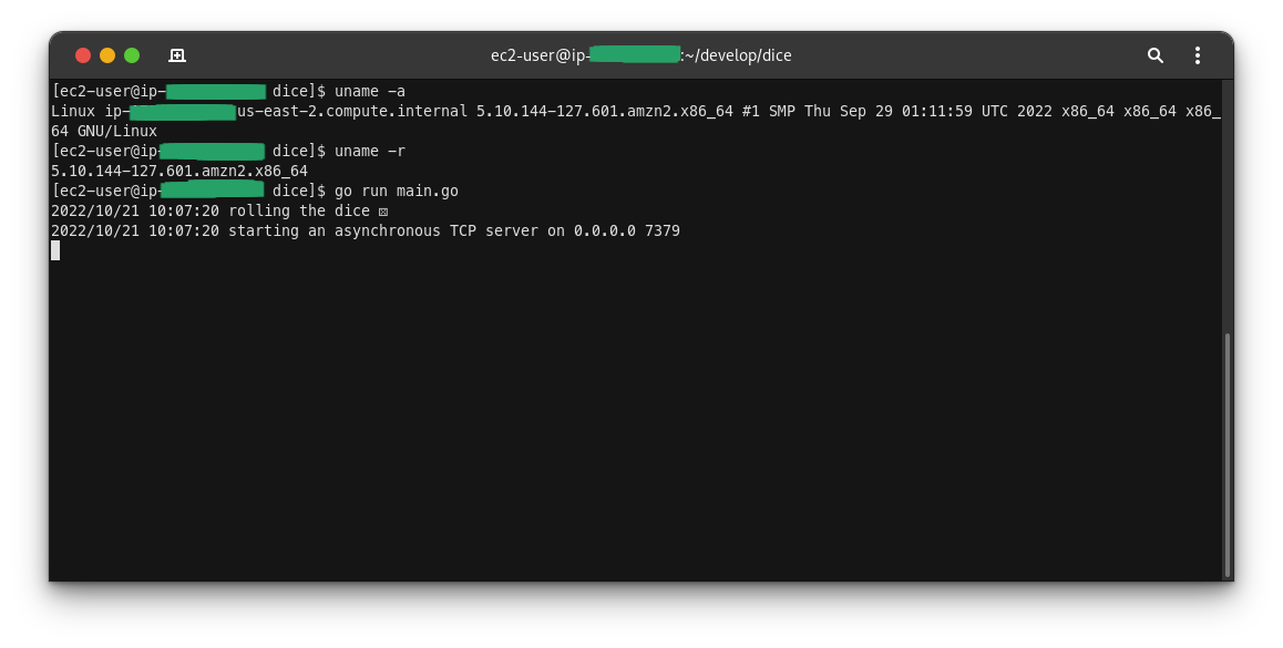 EC2/aws cant run · Issue #40 · DiceDB/dice · GitHub