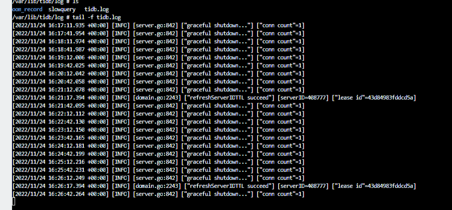 tidb start takes for more than one hour · Issue #39393 · pingcap/tidb · GitHub