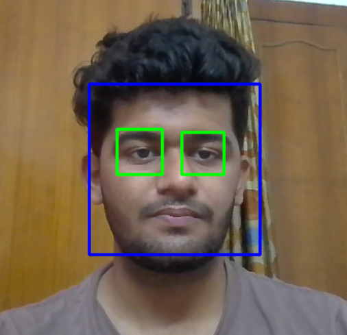 GitHub - rishirajchaudhary/Face_Eyes-Detection: This project aims to build a real-time face and ...