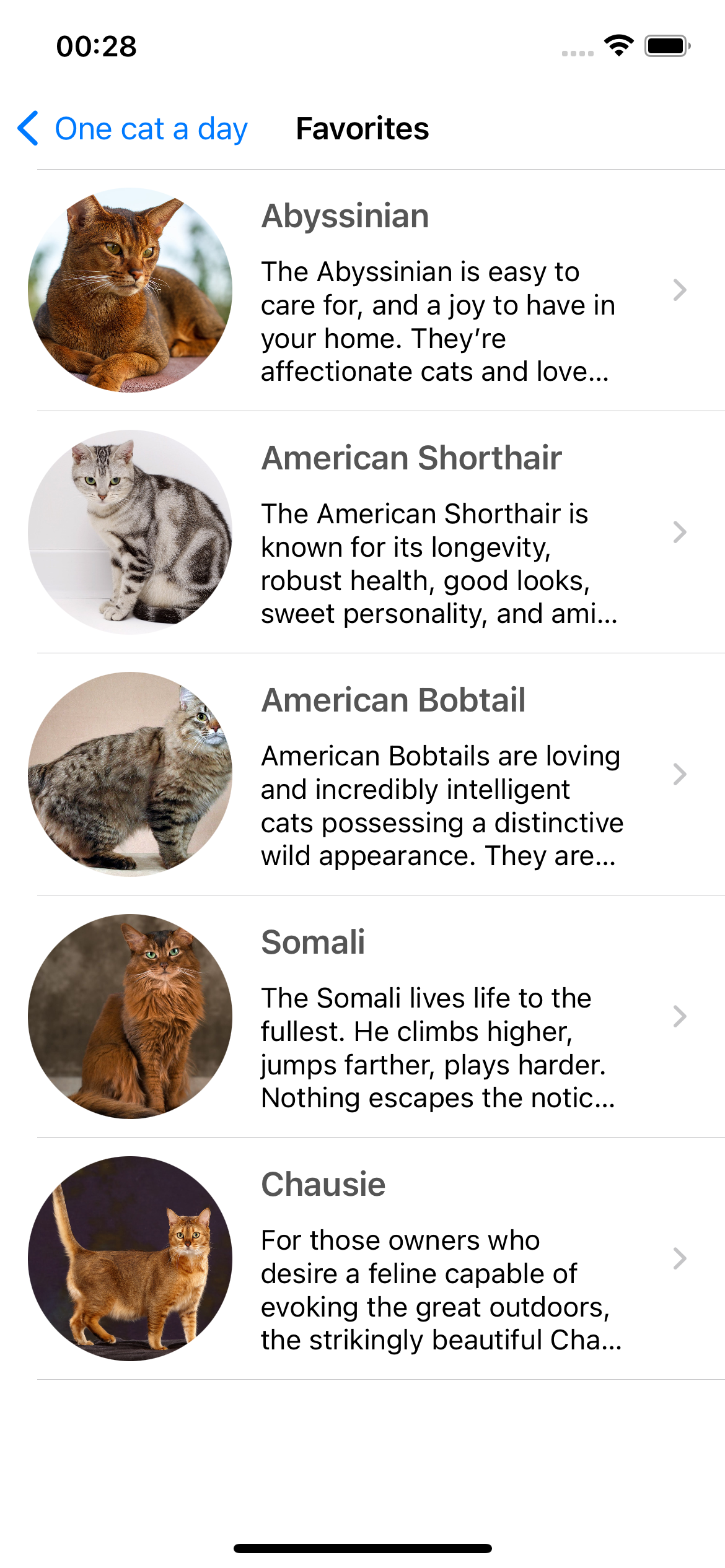 GitHub - thaiebt/ProjetoFinal