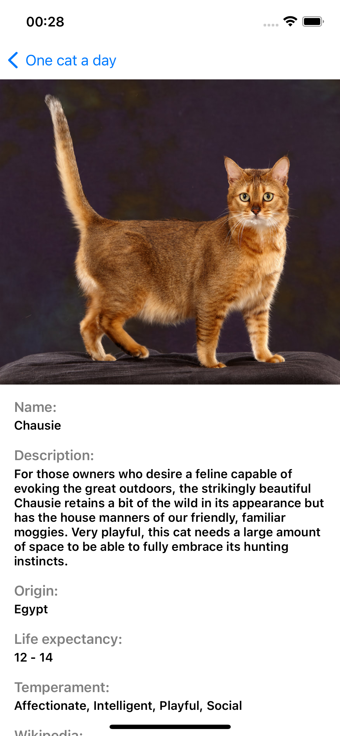 GitHub - thaiebt/ProjetoFinal