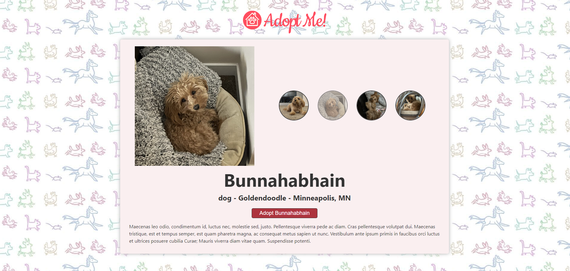 GitHub - JoeSchmitt-2/adopt-me: A pet adoption React app