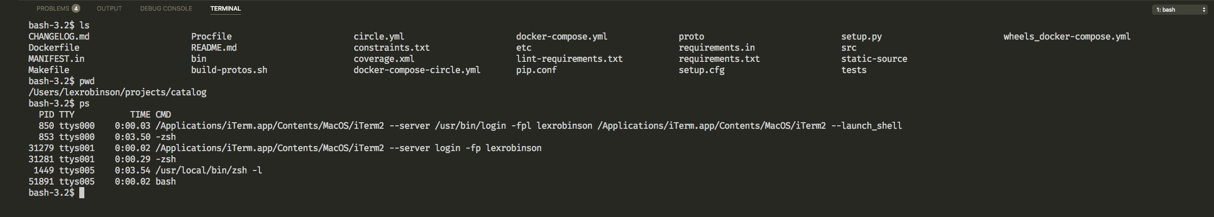 Terminal text corrupts when moved to non-retina screen after sleep ...