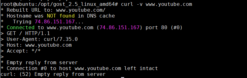 redirect 透明代理问题 · Issue #274 · ginuerzh/gost · GitHub