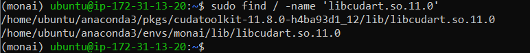 [BUG] ImportError: libcudart.so.11.0: cannot open shared object file: No such file or directory ...