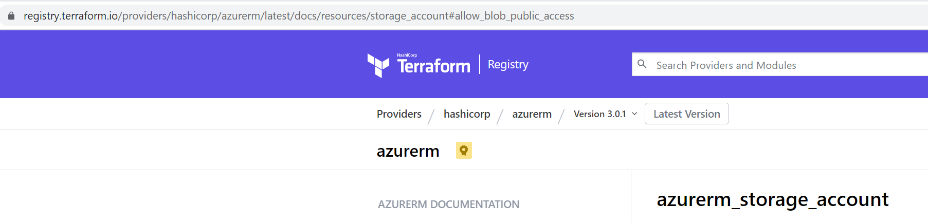 `azurerm_storage_account` - `allow_nested_items_to_be_public` resource documentation update ...