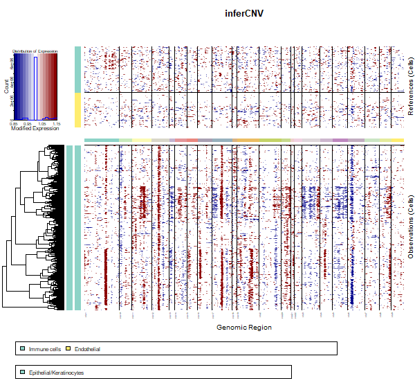 Different inferCNV.png ouput with and without HMM arguments · Issue #366 · broadinstitute ...