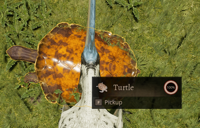 Basilemys legs break when carrying + Name issue · Issue #11591 ...