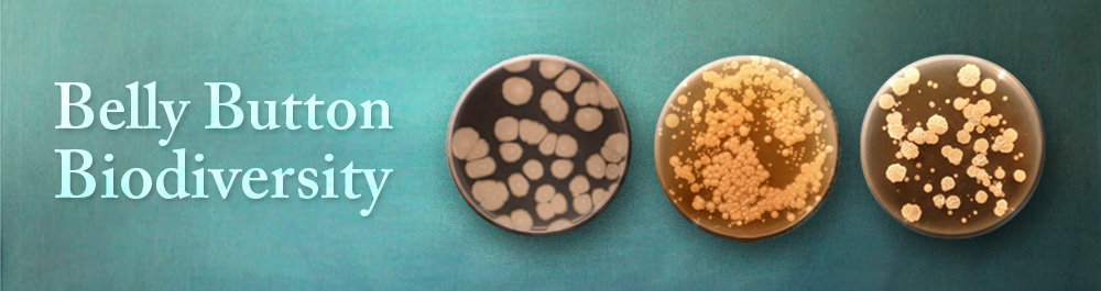 GitHub - Anoobis5/Bellybutton-Biodiversity-Plotly-Challenge