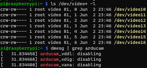 No driver detection · Issue #2 · ArduCAM/Arducam-Pivariety-V4L2-Driver · GitHub