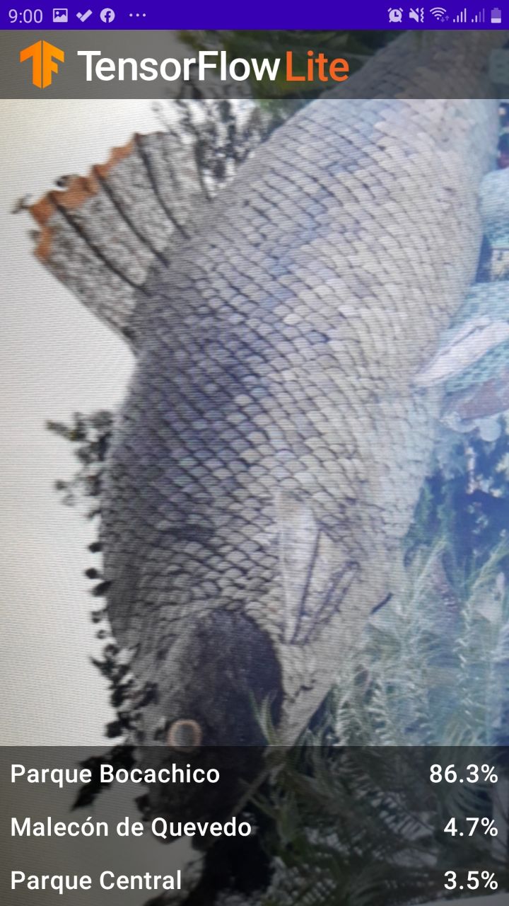 GitHub - LisLeoMeraC/TFL_LugaresTuristicos