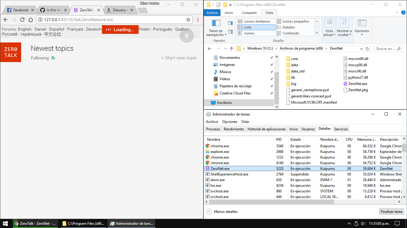 Is this normal? · Issue #972 · HelloZeroNet/ZeroNet · GitHub