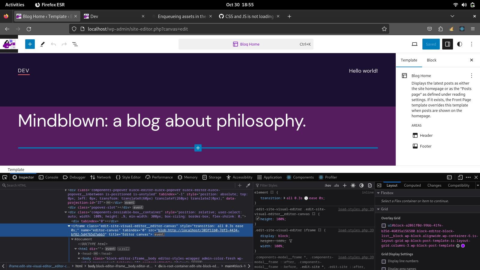 CSS and JS is not loading in Editor · Issue #55683 · WordPress/gutenberg · GitHub