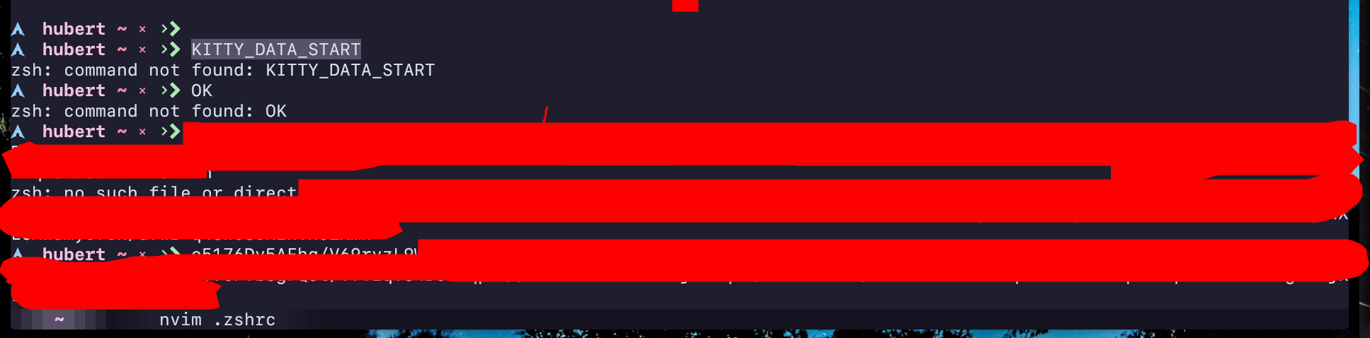 KITTY_DATA_START on stop `kitty +kitten ssh` while connection · Issue #6335 · kovidgoyal/kitty ...