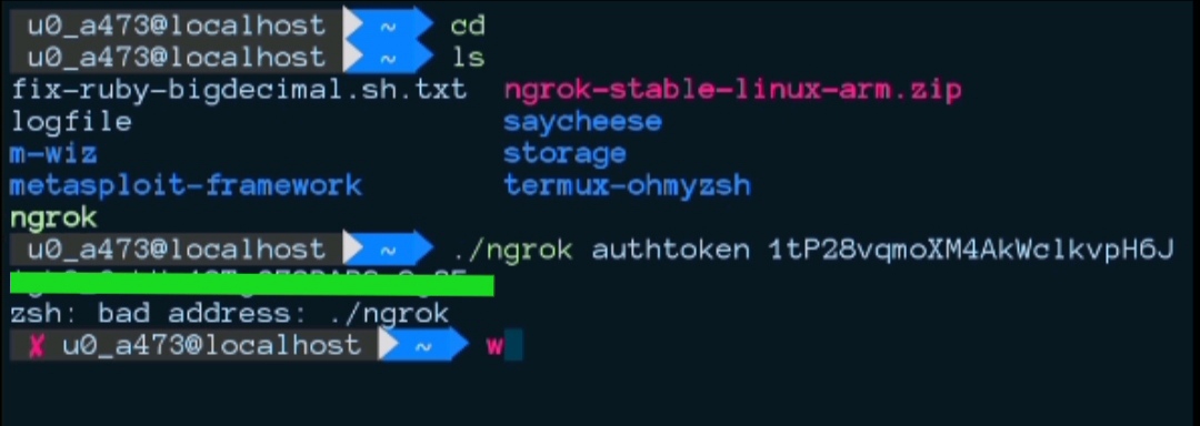 ngrok's Authtoken · Issue #45 · sakazuki/node-red-desktop · GitHub