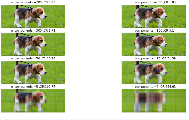 GitHub - ShruthiM23/Case-Study-Image-Compression-using-Singular-Value-Decomposition: A study on ...