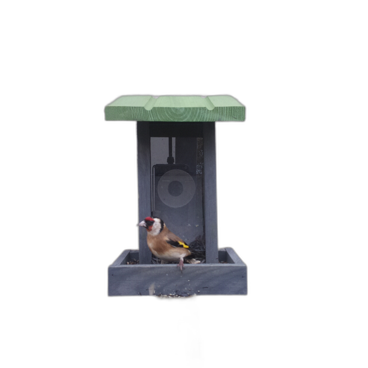 adding COCO onnx model · Issue #371 · danielgatis/rembg · GitHub