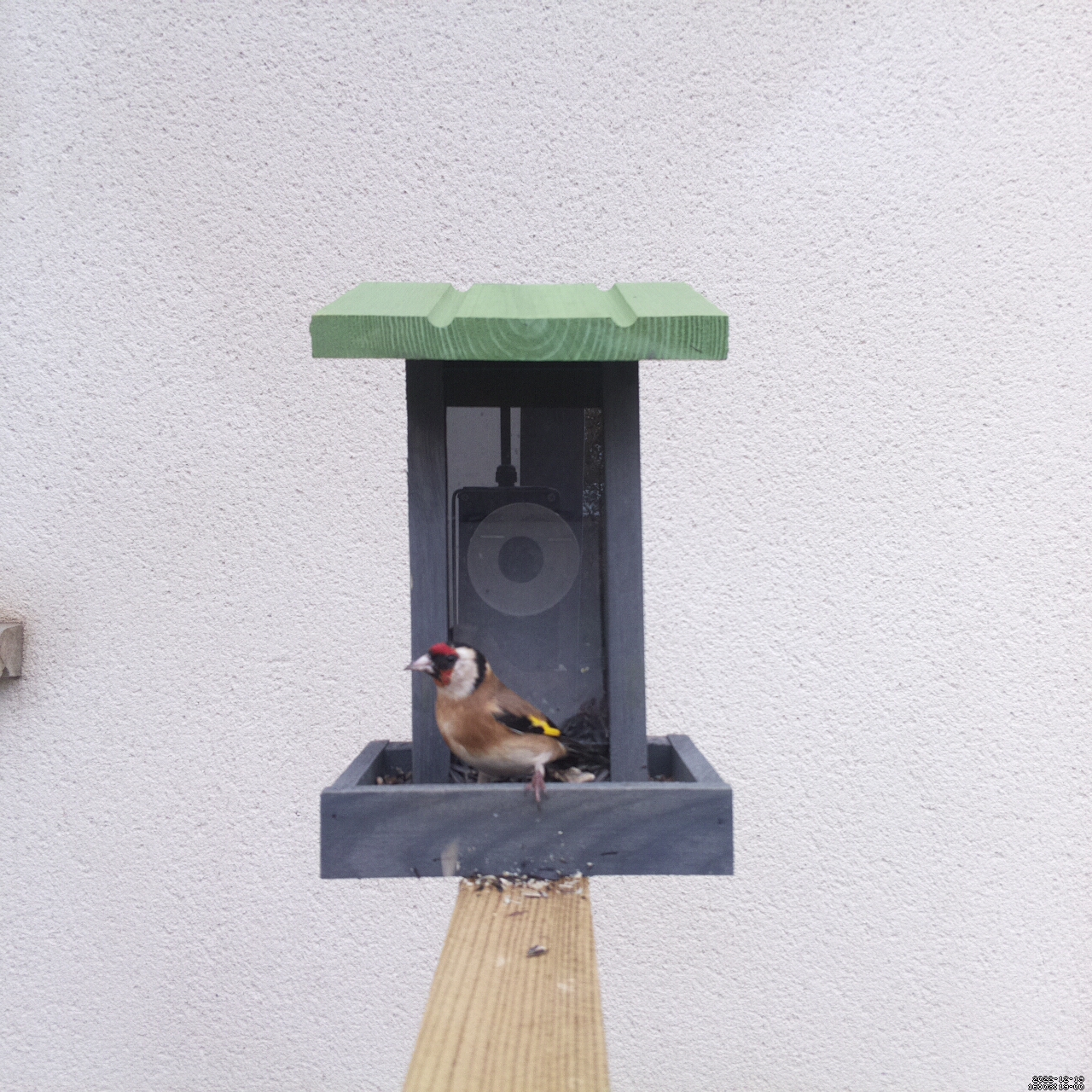 adding COCO onnx model · Issue #371 · danielgatis/rembg · GitHub