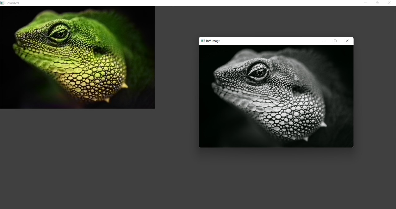GitHub - koushikcodes2021/colorizer: Created using Python and OpenCV
