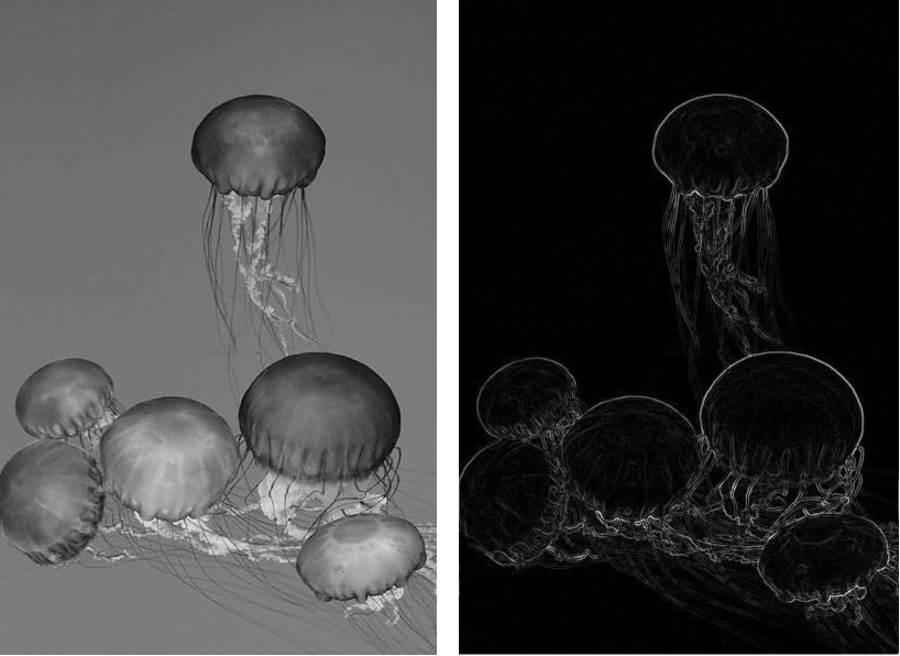 GitHub - donscara/Edge-Detection-Filter