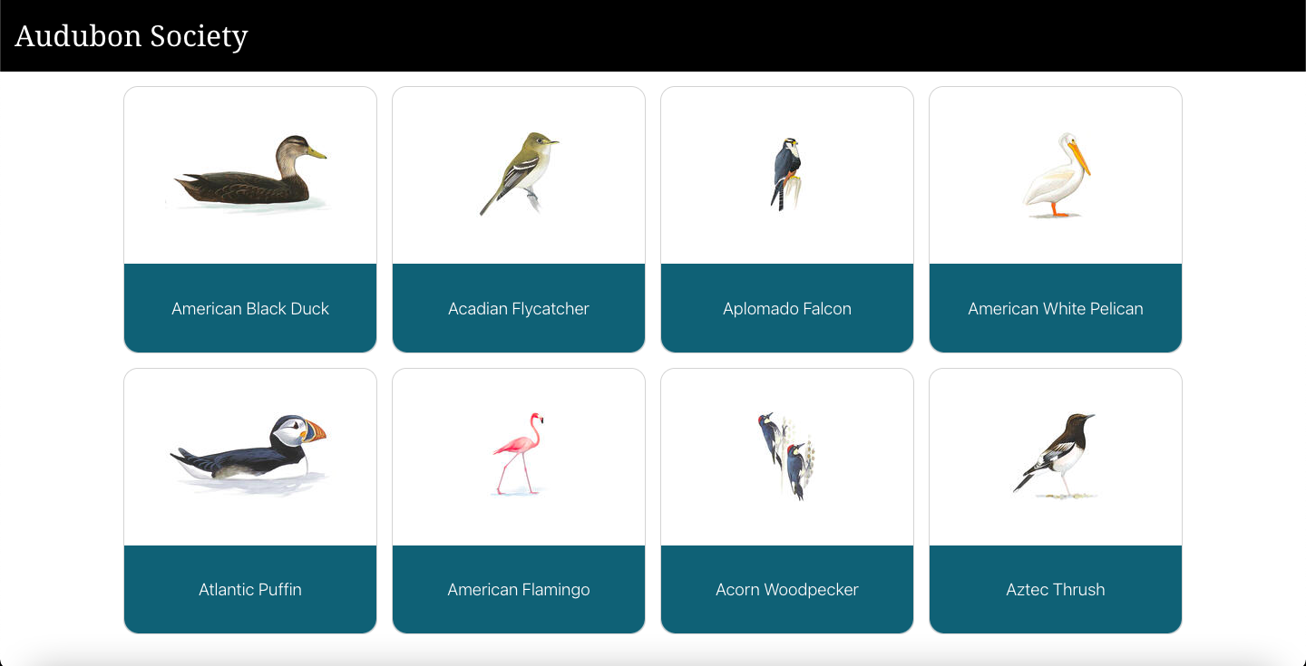 GitHub - Jikjii/react-audubon-site: Bird Watching Society