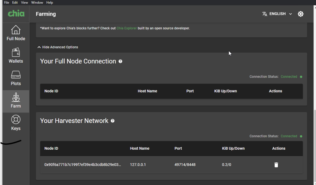 [BUG] Full Node interface not loading / Plots still unavailable · Issue #6310 · Chia-Network ...