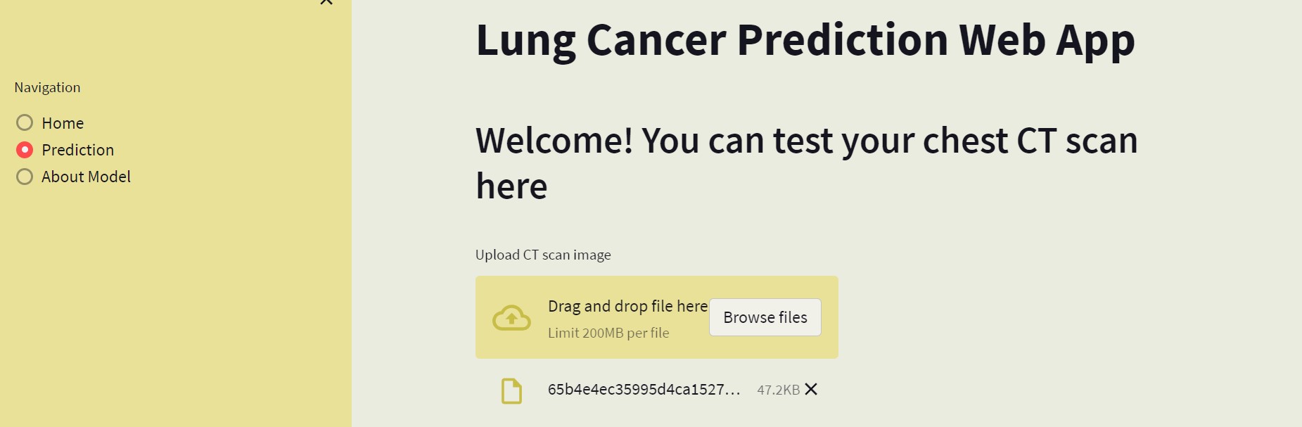 GitHub - Nishan8912/Lung_Cancer_Detection