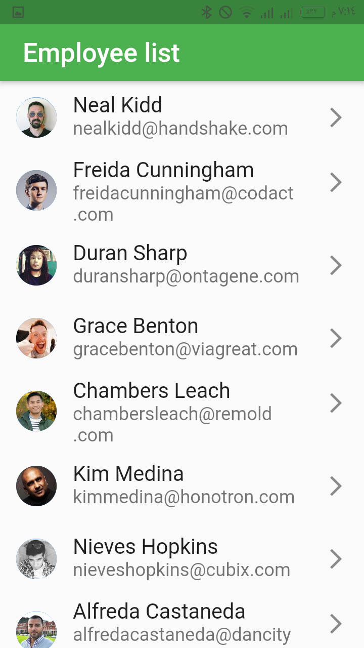 GitHub - Abdelwareth-mohammed/Employees-Profiles: this app deal with employee api and fetch ...