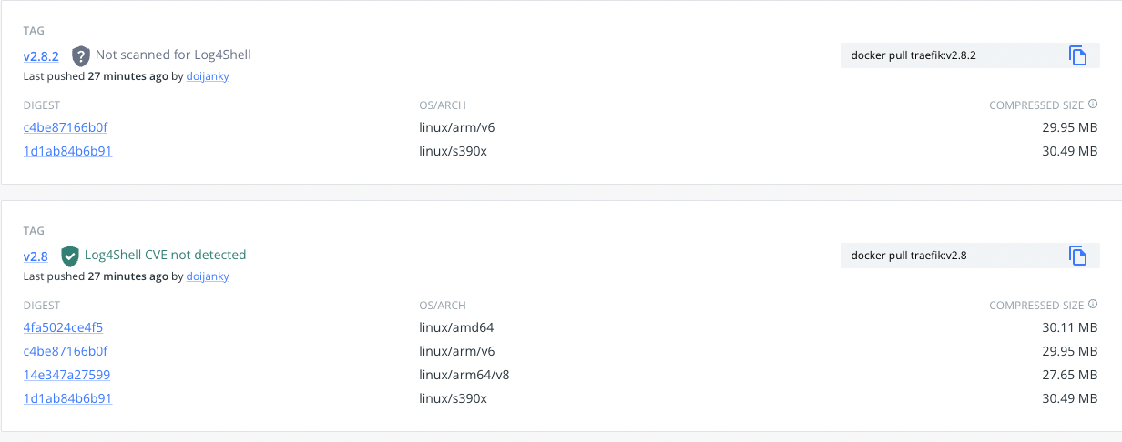 v2.8.2 Docker image missing architectures · Issue #9248 · traefik/traefik · GitHub