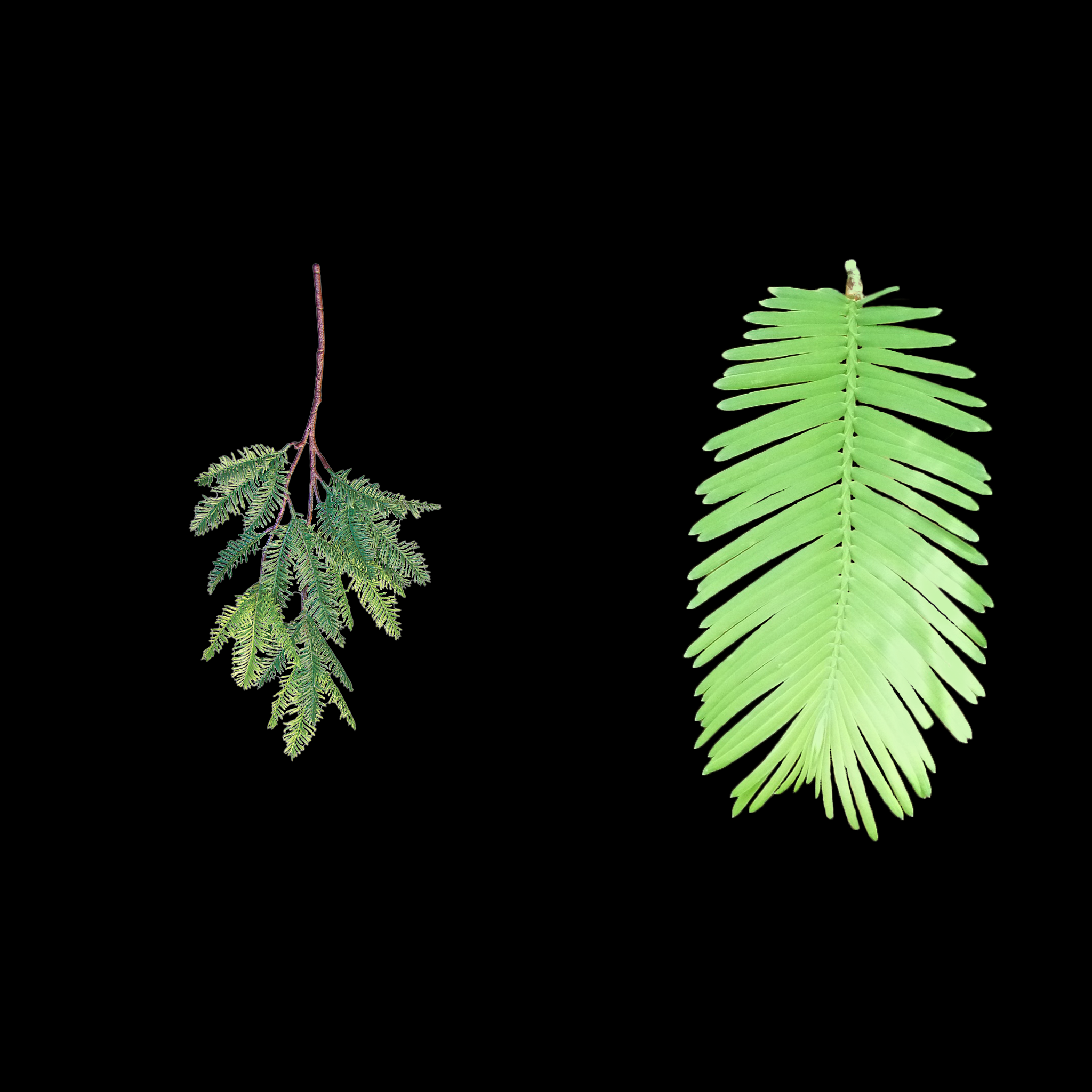 Using the Upscale node makes "chunks" · Issue #1509 · armory3d/armortools · GitHub