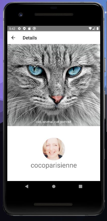 GitHub - Noly-17/React-Native-Pixabay