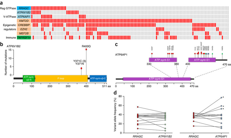 For Waterfall Function Allow Plotting Of Groups Of Genes Pathways · Issue 331 · Griffithlab