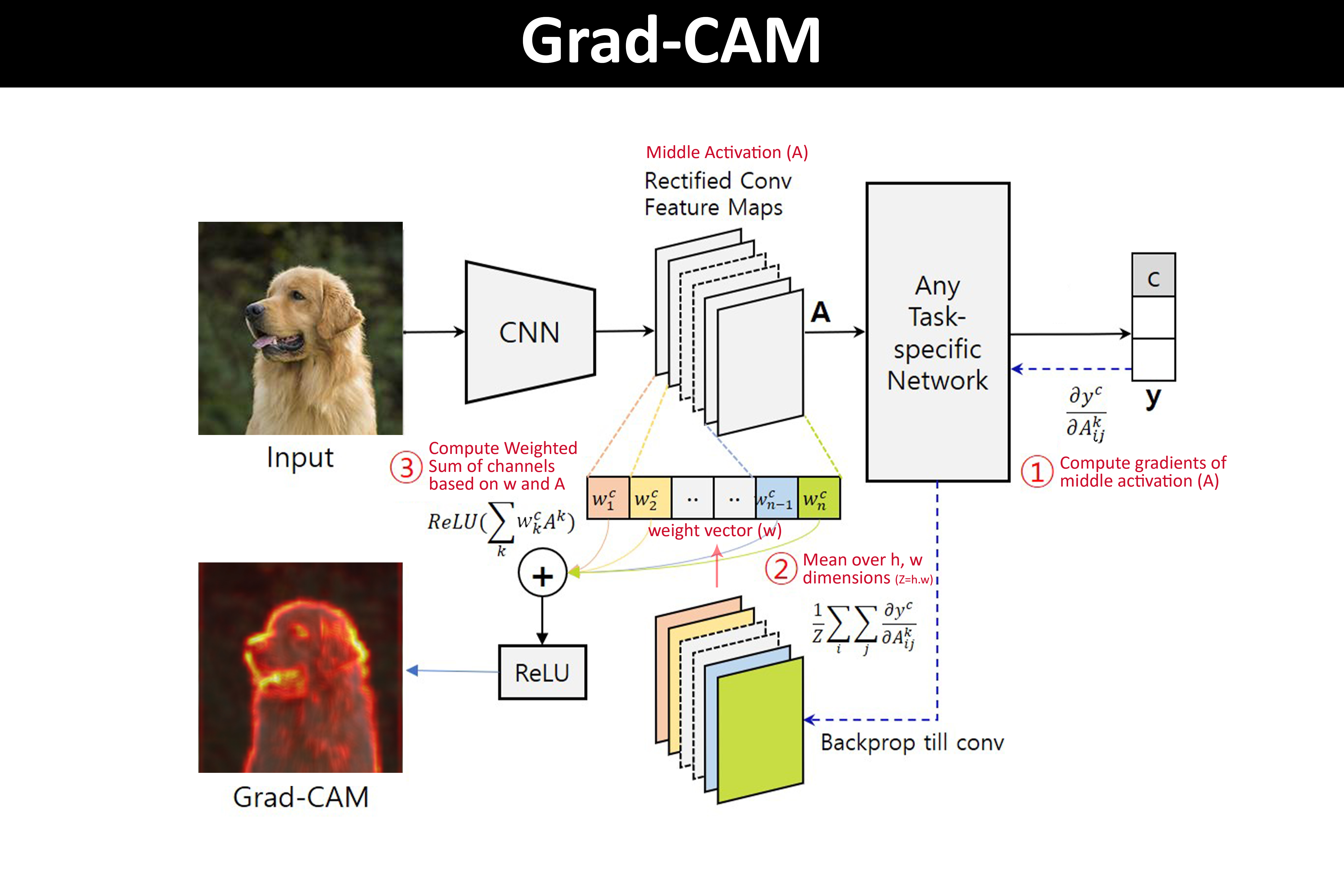 GitHub - ali-k-hesar/how-AI-Sees-Our-World: Vision Transformer (ViT) models, with their ...