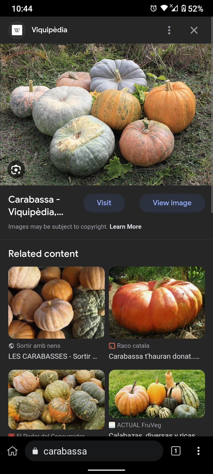 Userscript version of the View Image extension · GitHub