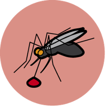 GitHub - Hamzah2112/Malaria_Cell_Classification