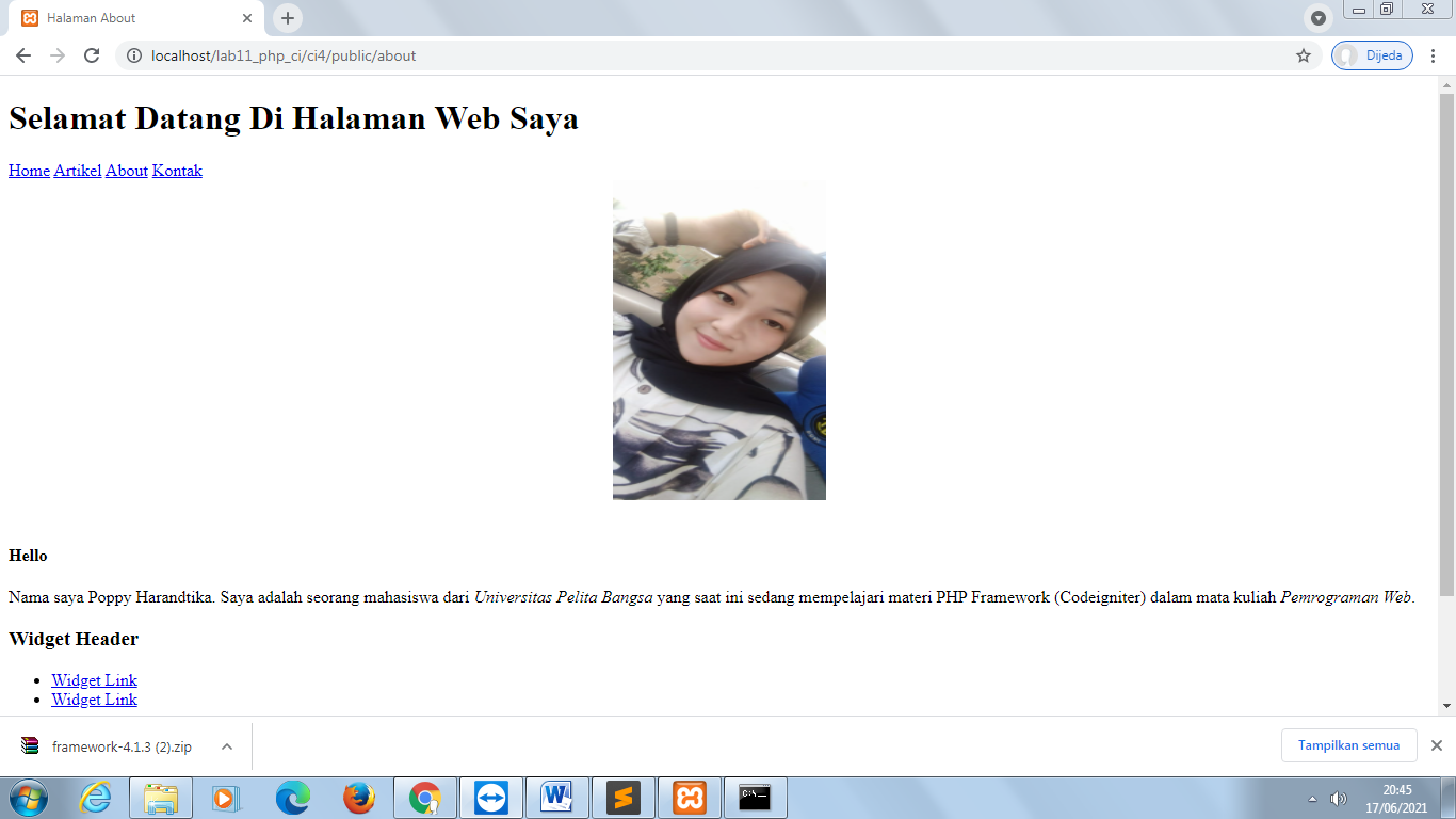 GitHub - Poppy850/Lab11Web