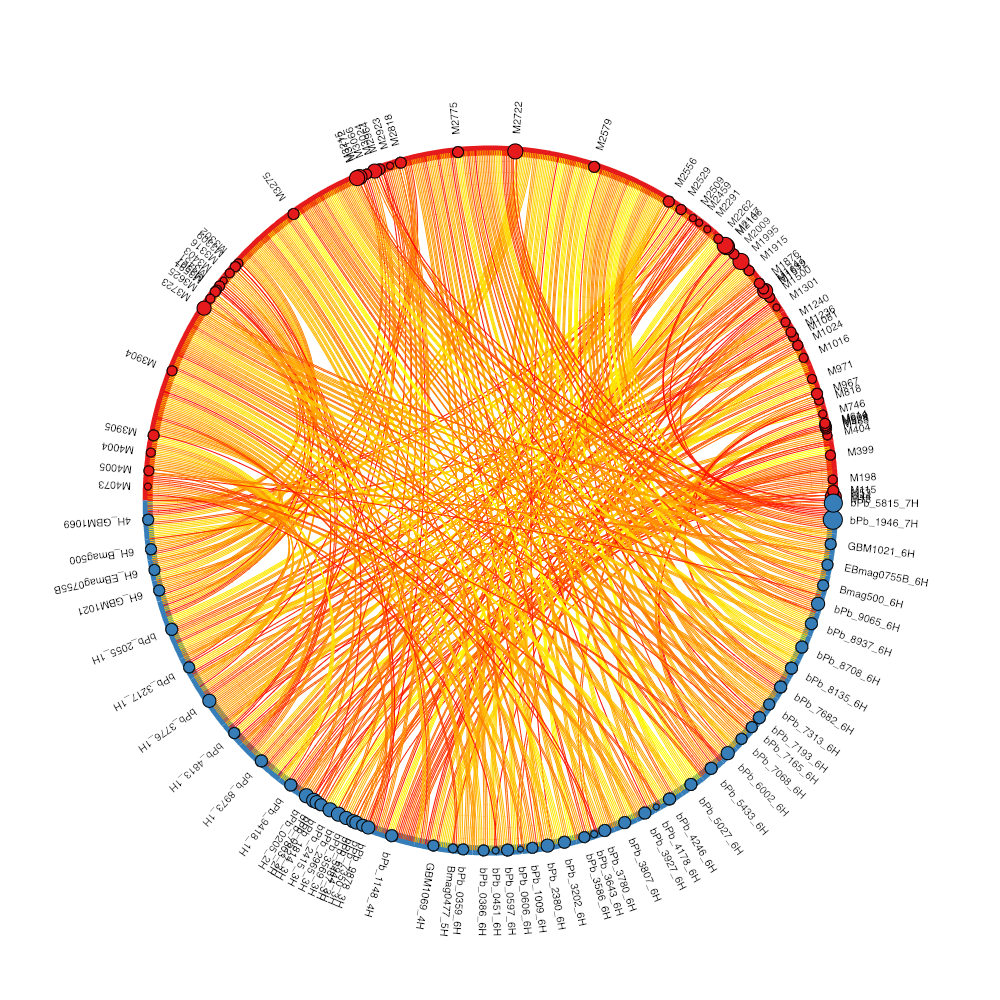 No color bar or legend for chord plots · Issue #3372 · holoviz ...