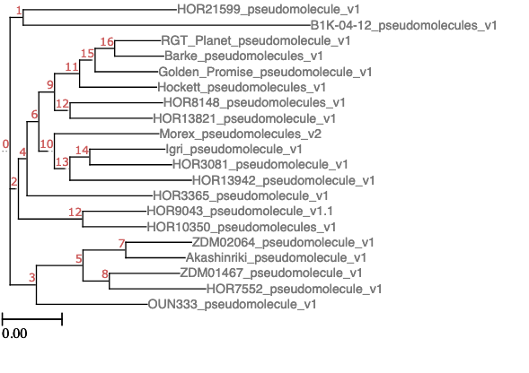 Cactus-prepare error with guide-tree · Issue #277 ...