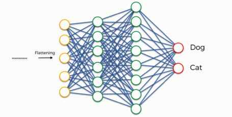 GitHub - AbineshSivakumar/Convolutional-Neural-Networks: Simple dog ...