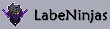 GitHub - future4code/lovelace-labe-ninja6