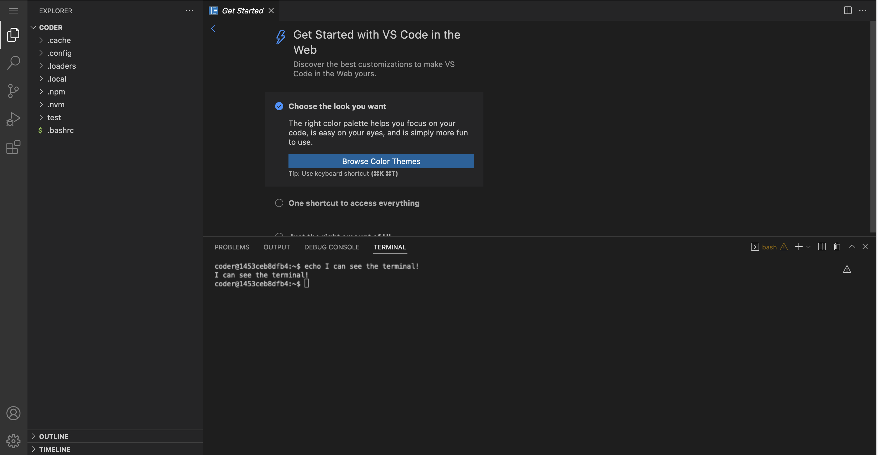 Code-server terminal text completely obfuscated · Issue #446 ...