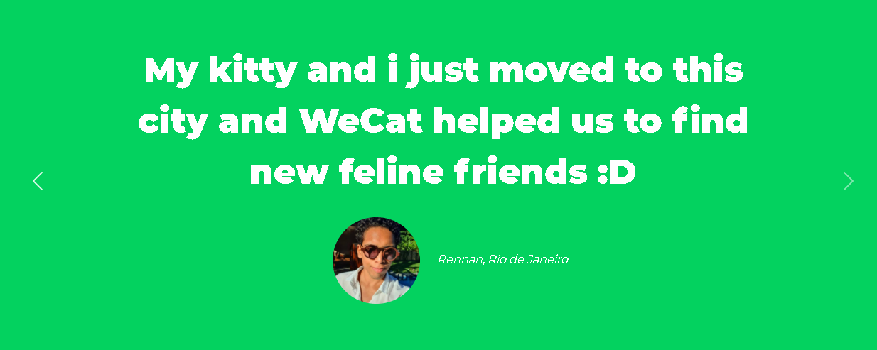 GitHub - miguel-lino/WeCat: Ache a alma gêmea do seu gato! 🐱 (PROJETO)