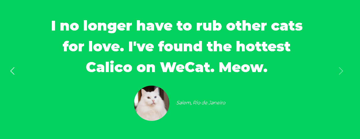 GitHub - miguel-lino/WeCat: Ache a alma gêmea do seu gato! 🐱 (PROJETO)