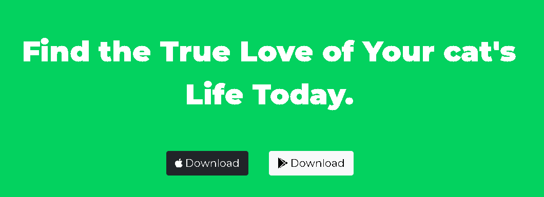 GitHub - miguel-lino/WeCat: Ache a alma gêmea do seu gato! 🐱 (PROJETO)