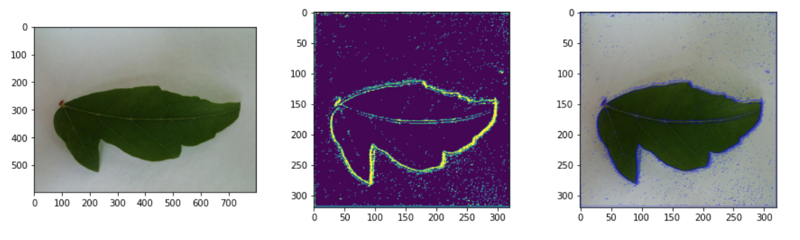 GitHub - ilyalyovwork/leaves: Mess segmentation