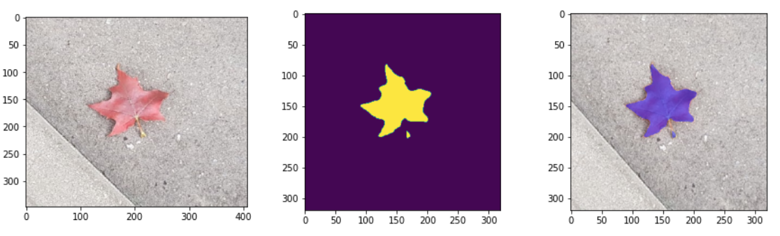 GitHub - ilyalyovwork/leaves: Mess segmentation