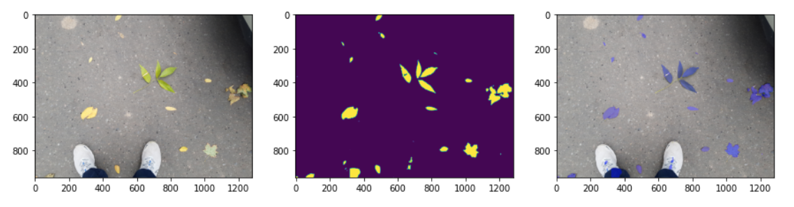 GitHub - ilyalyovwork/leaves: Mess segmentation