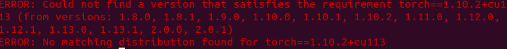 trouble installing torch==1.10.2+cu113 torchaudio==0.10.2+cu113 torchvision==0.11.3+cu113 ...