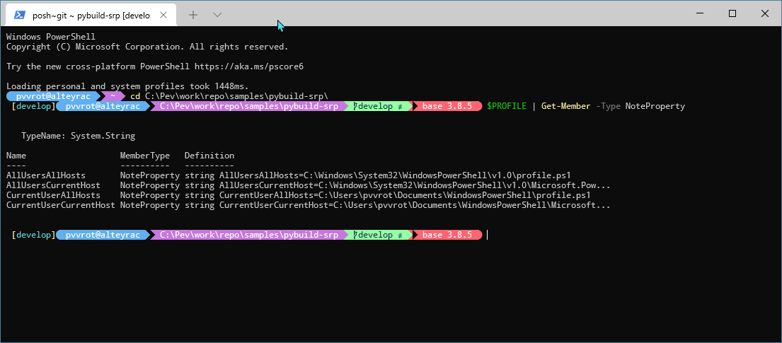 Git branch displayed 2 times and Python environment missing · Issue ...